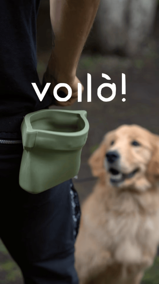 Voilà | The Ultimate Treat Pouch – VoilaPets.com