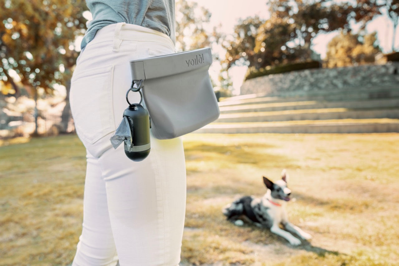 Sealable Edition Ultimate Treat Pouch 20oz – VoilaPets.com