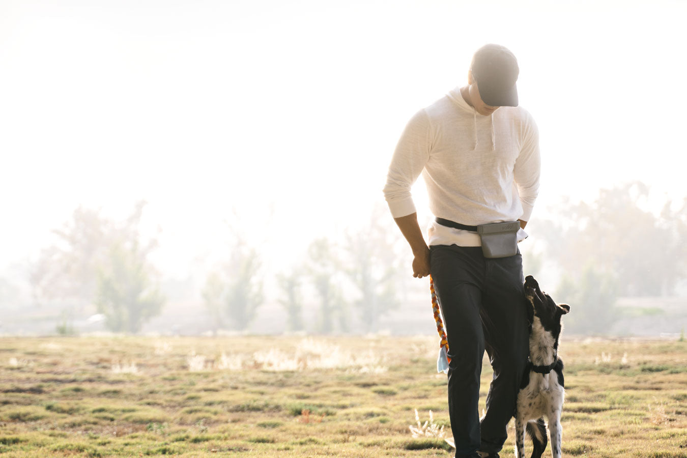 Our Story – VoilaPets.com